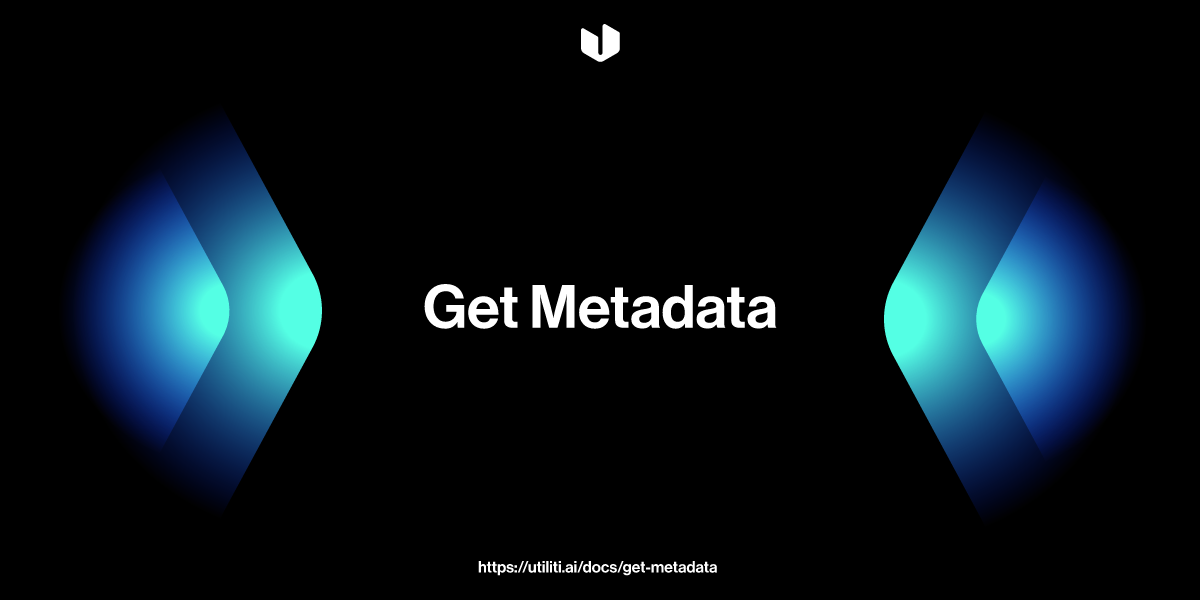 Get Metadata | Dynamic Metadata | Utiliti Developer Docs